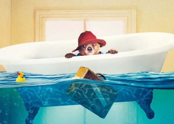Paddington scena u kupatilu