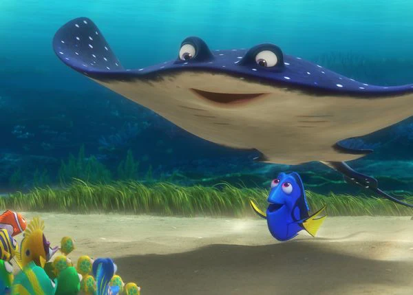 Finding Dory Mr.Ray