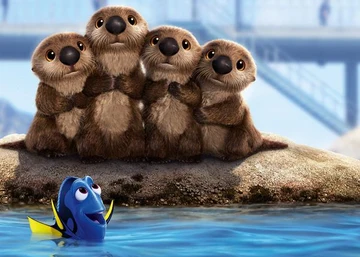 Finding Nemo na obali