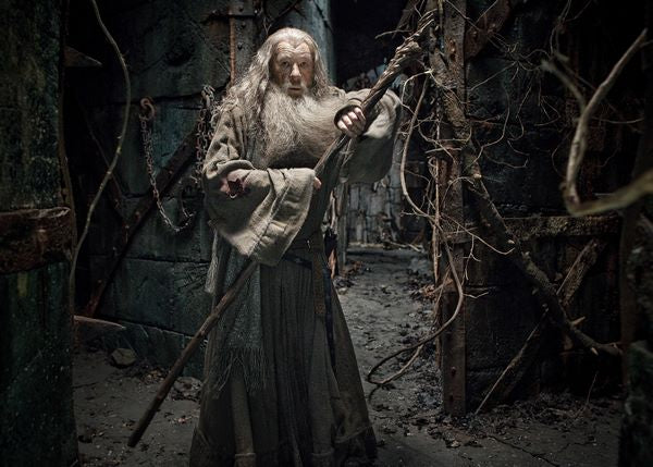 The Hobbit The Desolation of smaug Gandalf