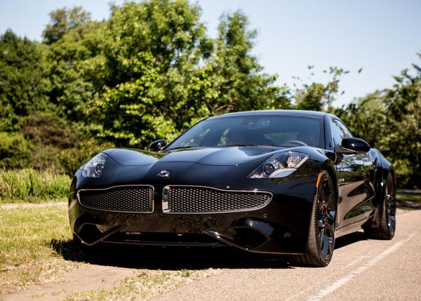 Fisker crni