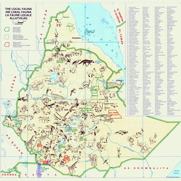Mape Etiopija i zivotinje
