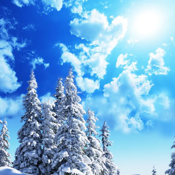 Zima i plavo belo nebo