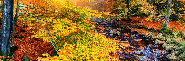 Jesen i potok