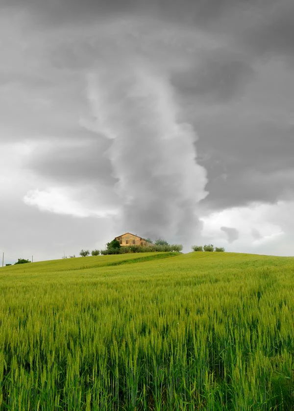 Tornado i trava