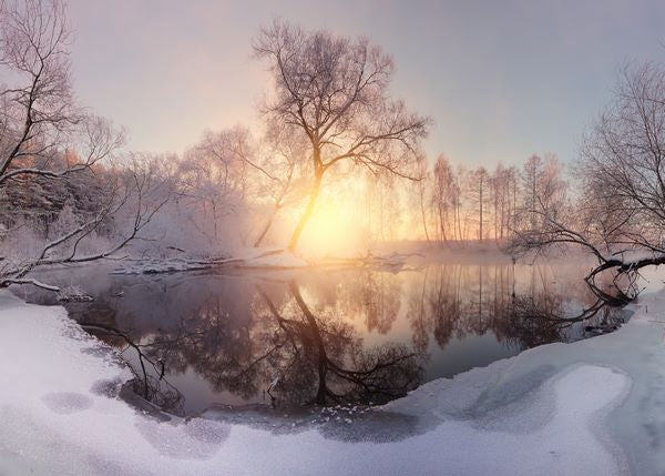 Zimski predeli jezero i magla