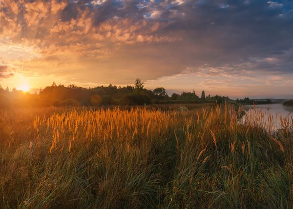 Reka polje i zalazak sunca