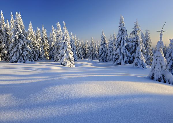 Zimski predeli senke i sunce