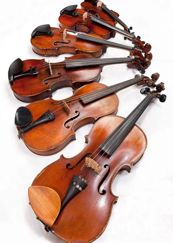 Violine sest violina