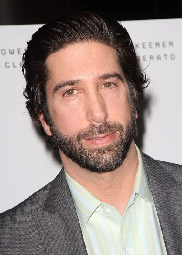 David Schwimmer sa bradom