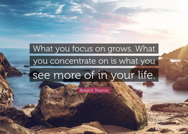 What you focus on grows