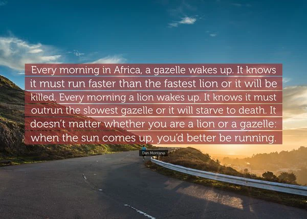Every morning in Africa