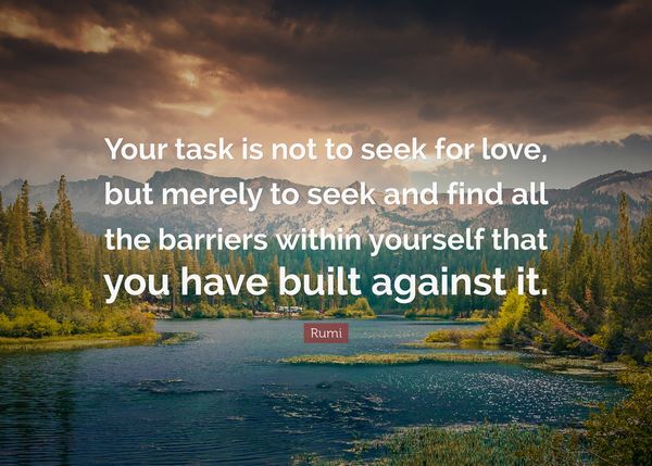 Your task is not to seek for love