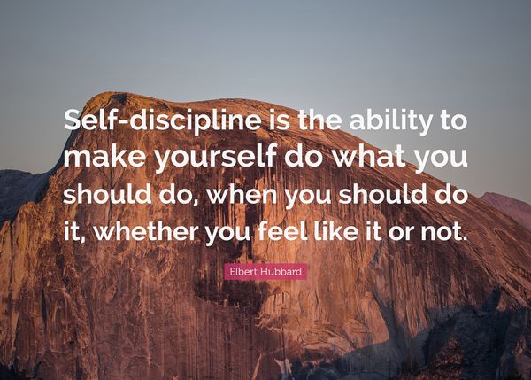 discipline is the ability
