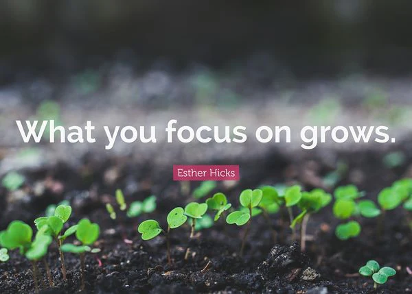 What you focus on