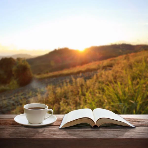 Knjige kafa i sunce