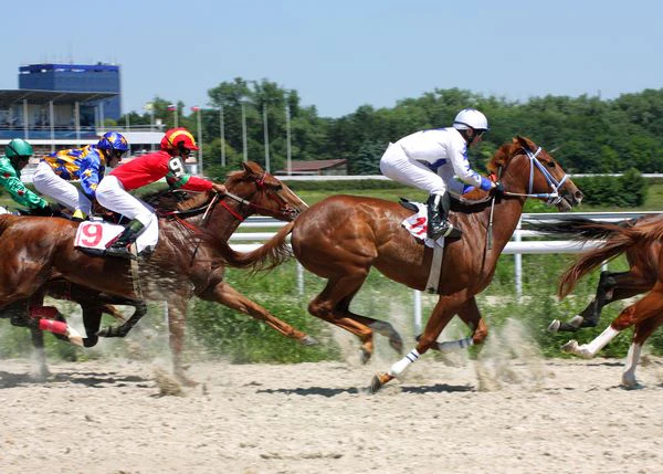 Jahanje galop po stazi