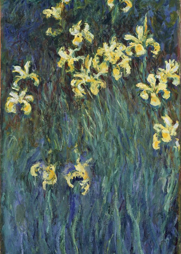 Claude Monet Yellow Irises 1914