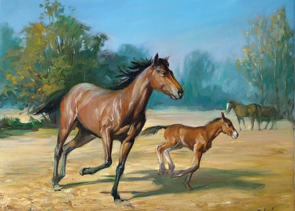 Gulyas, Laszlo, Foal