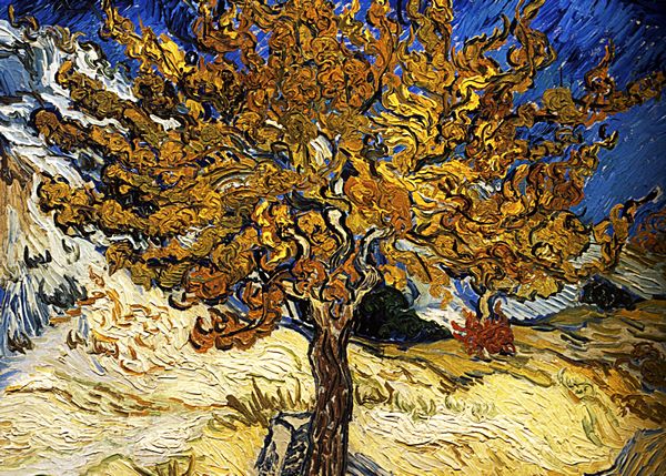 1889 Vincent Van Gogh, Le Murier