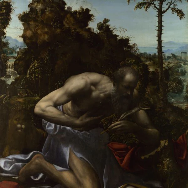 Sodoma, Saint Jerome in Penitence