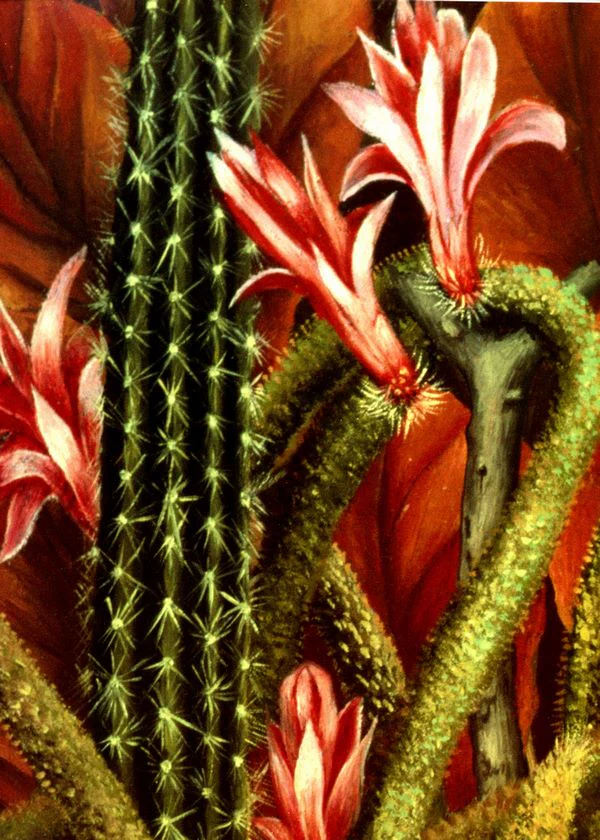 Frida Kahlo Portrait of Gave Rosita Morillo Detail the flowers