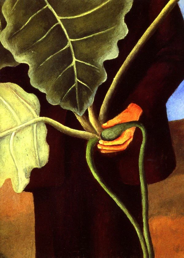 Frida Kahlo Portrait de Luther Burbank