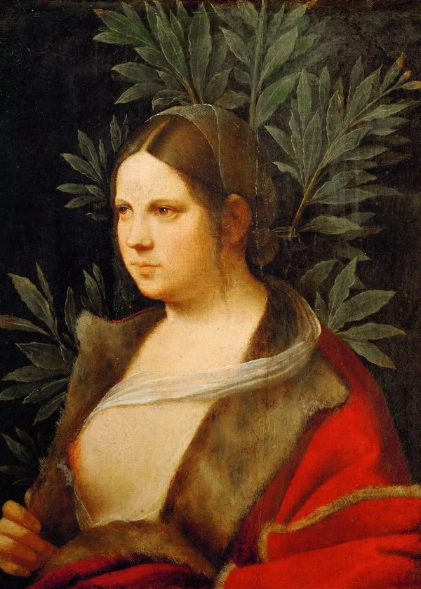Giorgio Barbarelli Da Castelfranco Portrait Of A Young Woman
