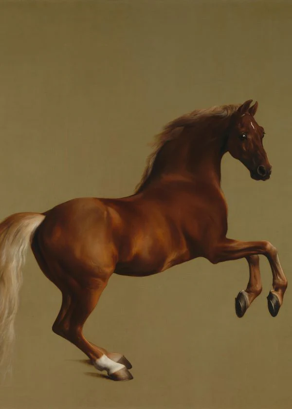 George Stubbs Whistlejacket