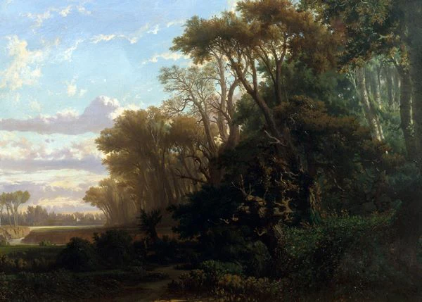 Rigalt Farriols, Lluis, Landscape with forest