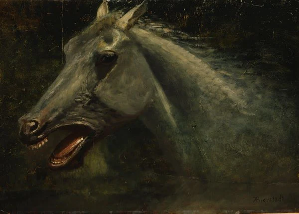 Albert Bierstadt, A Wild Stallion