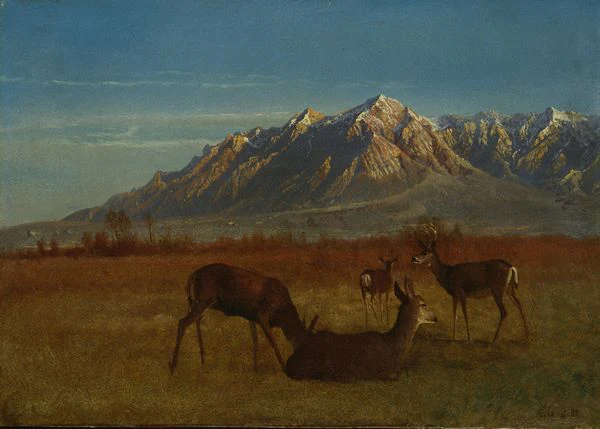 Albert Bierstadt, Deer in Mountain Home