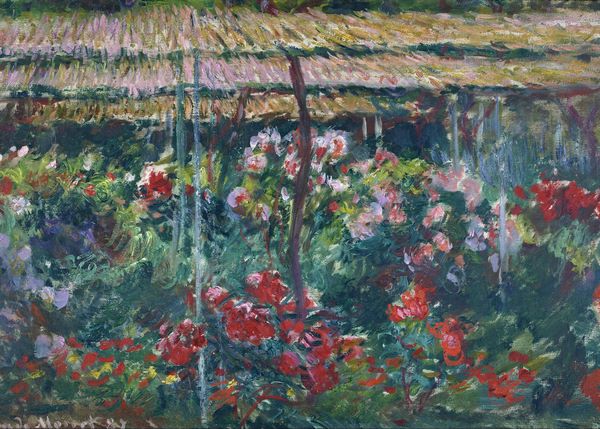 Claude Monet, Peony Garden, 1887