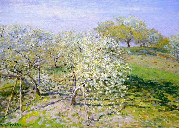 Claude Monet, Apple Trees In Bloom, 1873