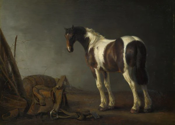 Abraham van Calraet, A Horse with a Saddle Beside it