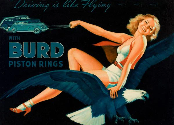 Driving is like flying, burd piston rings ad illustration