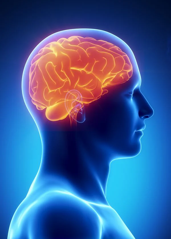 Anatomija mozak plava pozadina