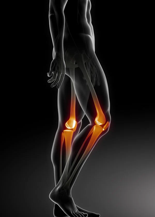 Anatomija kolena