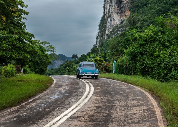 Automobili vintage art plavi kroz sumu