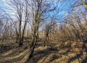 Prodaja Građevinsko zemljište - Irig, Vrdnik