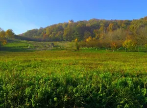 Prodaja Građevinsko zemljište - Irig