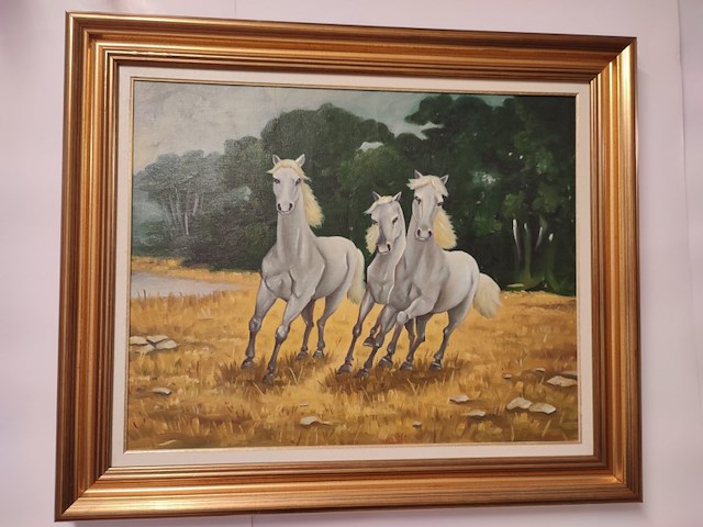 Slika `Konji u prirodi`