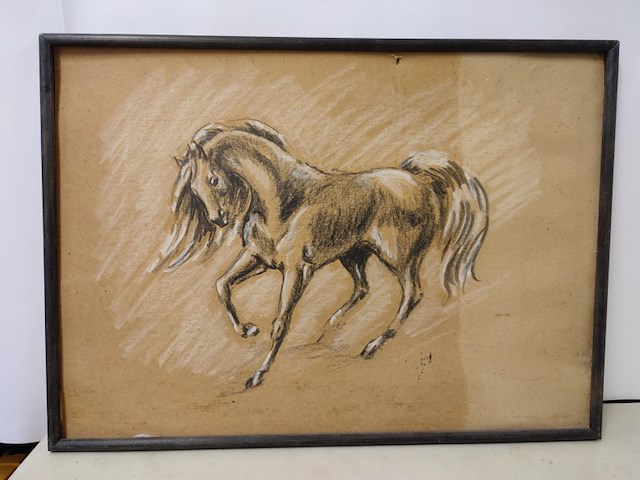 Slika `Konj 8`