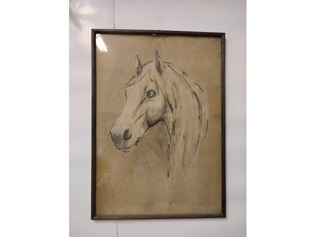 Slika `Konj 9`