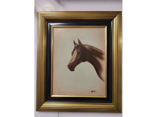 Slika `Konj 10`