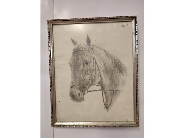 Slika `Konj 12`