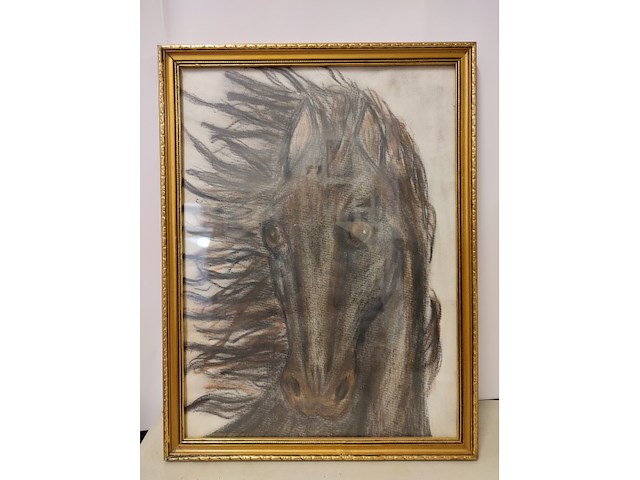 Slika `Konj 15`