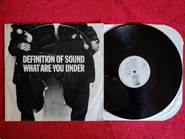 Definition Of Sound – What Are You Under - 12`` maxi