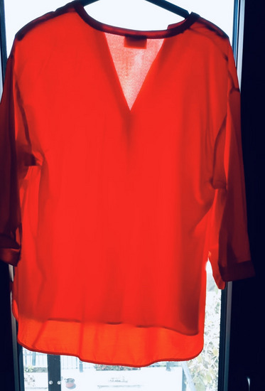 Crvena bluza