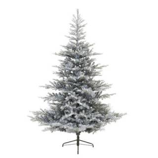 Novogodišnja jelka Frosted Grandis Fir 210cm